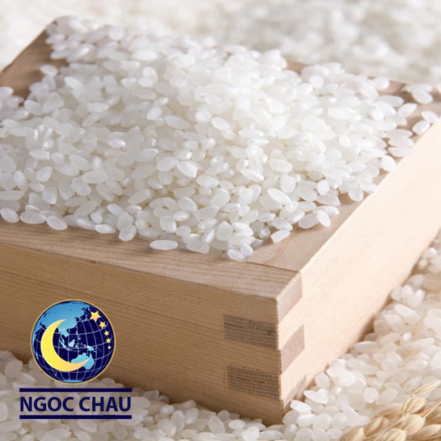 Soft Texture Japonica Rice Short Grain Round Rice Premium Quality Cheap Price Export Japan Sushi ...