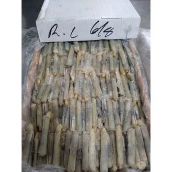 Fresh Razor Shell Clam Available To Deliver - Buy Frozen Clams,Razor ...
