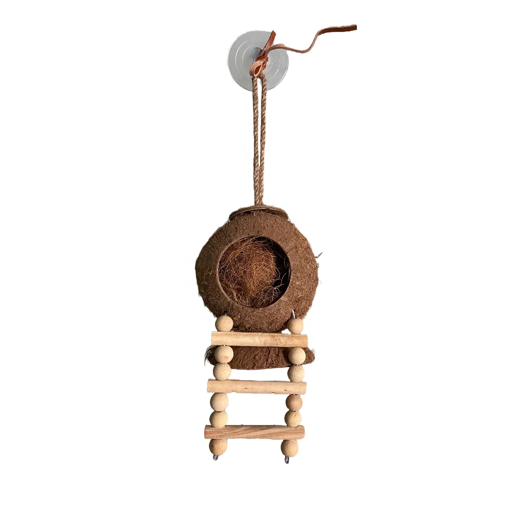 Oem/odm Coconut Shell Bird Feeder Bird Houses Pet Products Pet Supplies ...