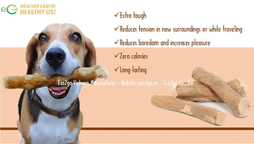 2025 Hot Sustainable Coffee Wood Chew Toys Made in Vietnam Pet Treats ...