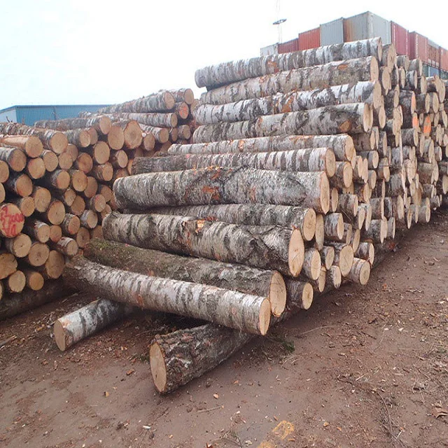 Birch Logs - Buy Birch Logs,Spruce Wood Logs,Wood Logs Product on ...