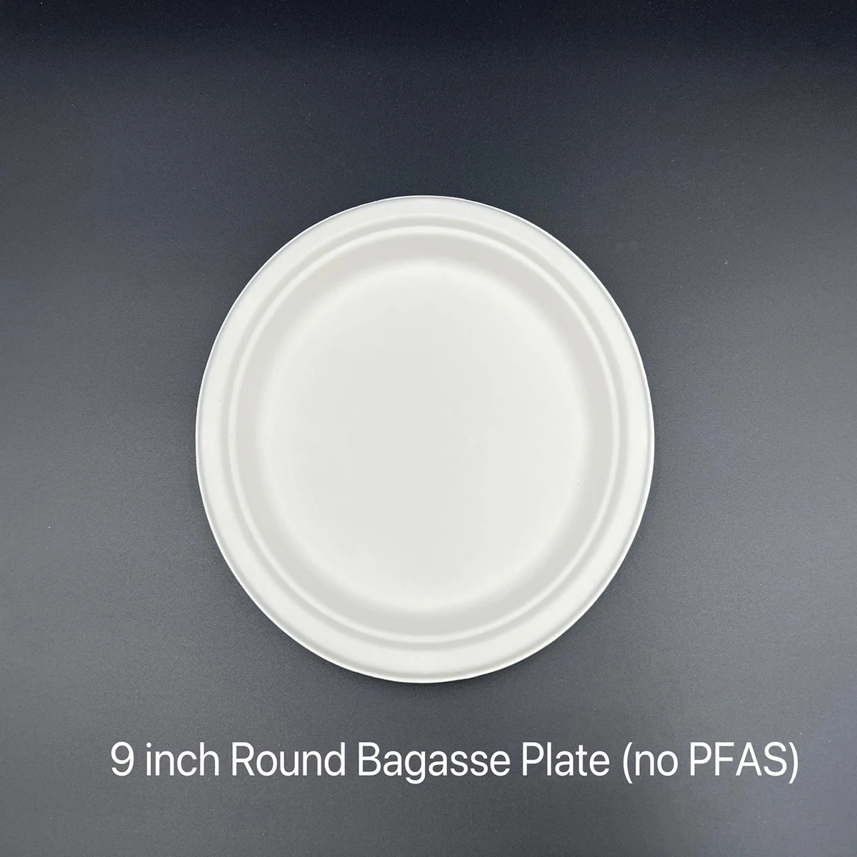 Disposable 9 Inch White Round Plates Biodegradable and Compostable ...