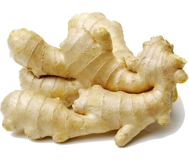 2024/2025 Export Quality Chinese Bulk Fresh Ginger - Buy Wholesale Raw ...