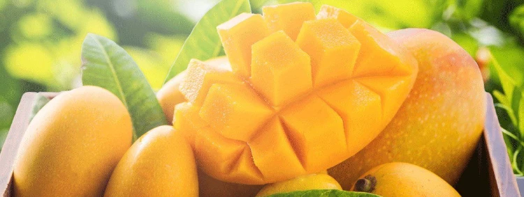 Fst Biotec Best Selling Mango Juice Powder For Flavoring Drink - Buy ...