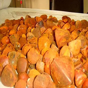Ox/cow Bladder Gallstones 100% Whole Stones Available - Buy Cow ...