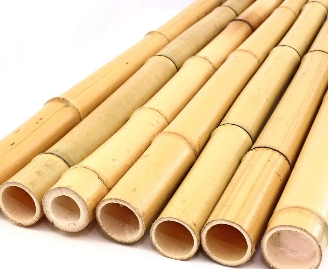 Strong Bamboo Poles from Vietnam - Eco-Friendly & Versatile