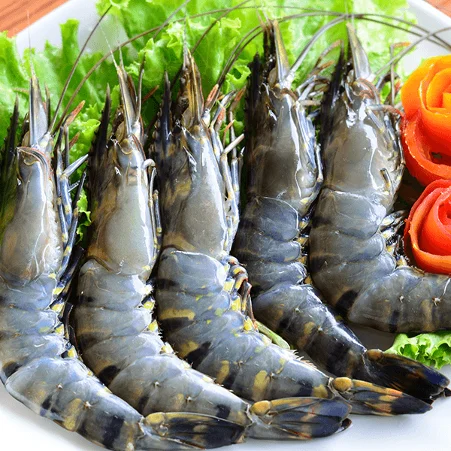 Frozen Aquaculture Black Tiger Head-on Shrimps Bulk Packaging BQF ...