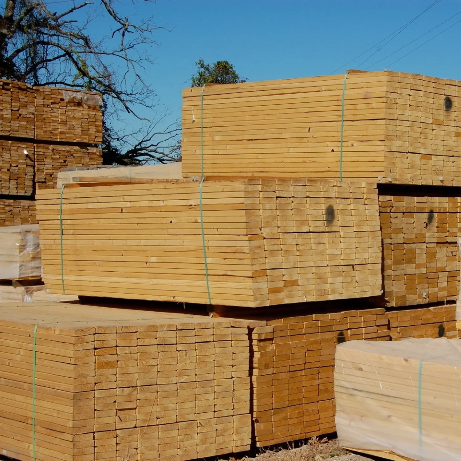 Troncos de abeto de cedro y madera para construcción, 2x4| Alibaba.com