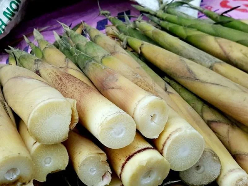 Bamboo Shoot Tips packaging 250gr/bag 500gr bag size LARGE 4-7pcs ...