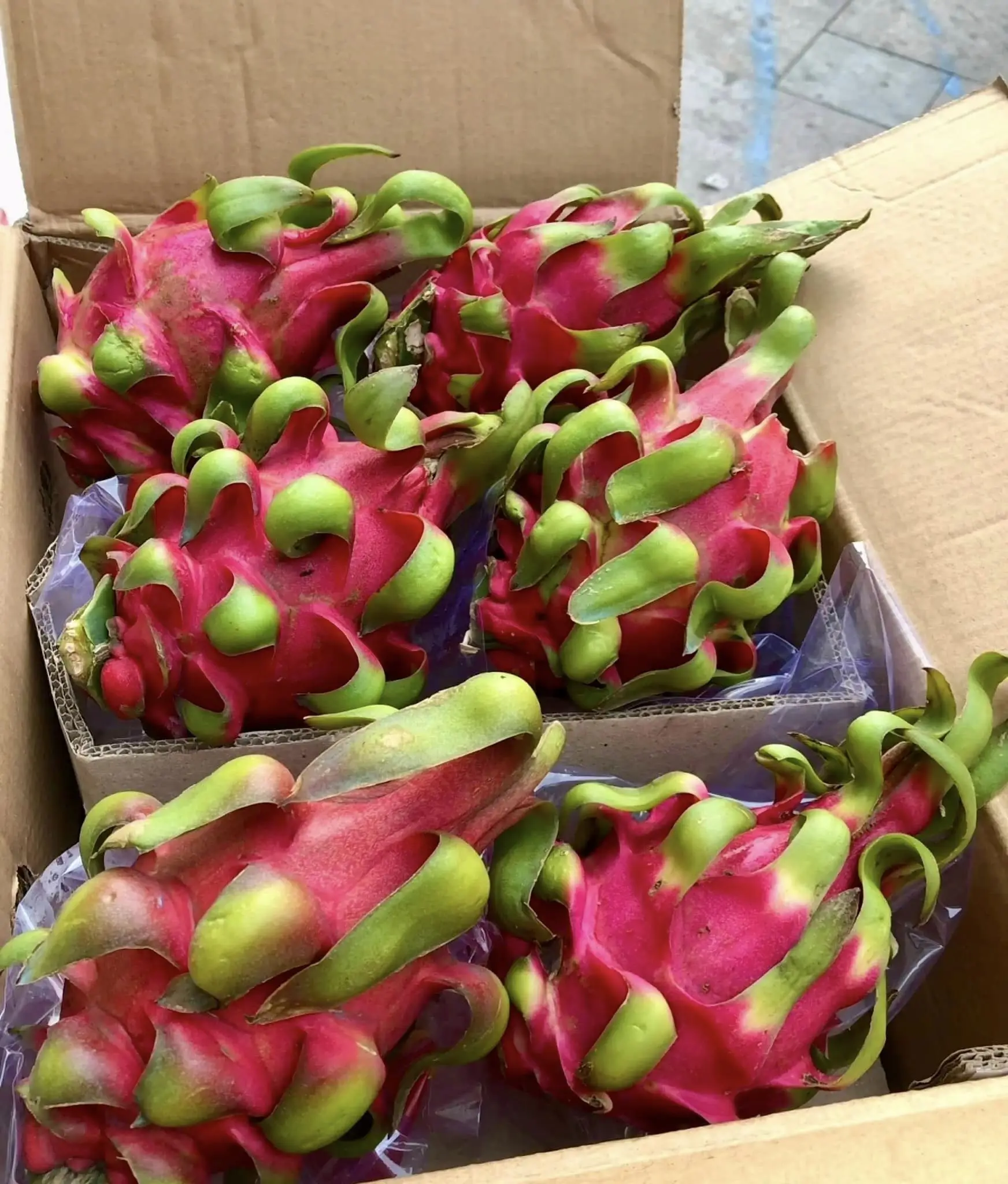 Vietnam Red Flesh Fresh Dragon Fruit Good Price Available For Export ...