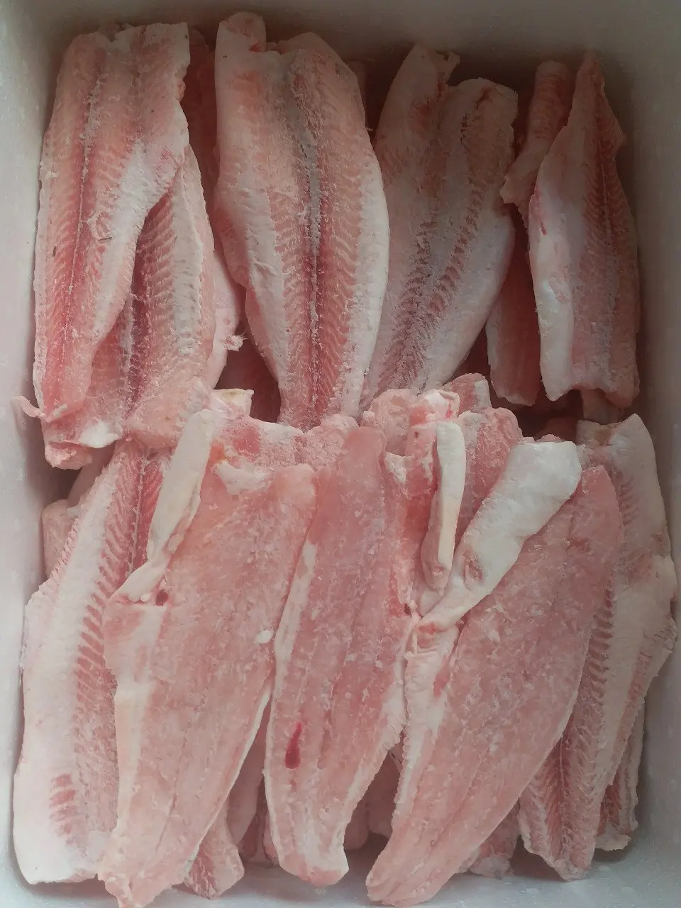 Frozen Pangasius/ Basa Fish Fillet High Quality 10 Kgs With 87% Max Max ...