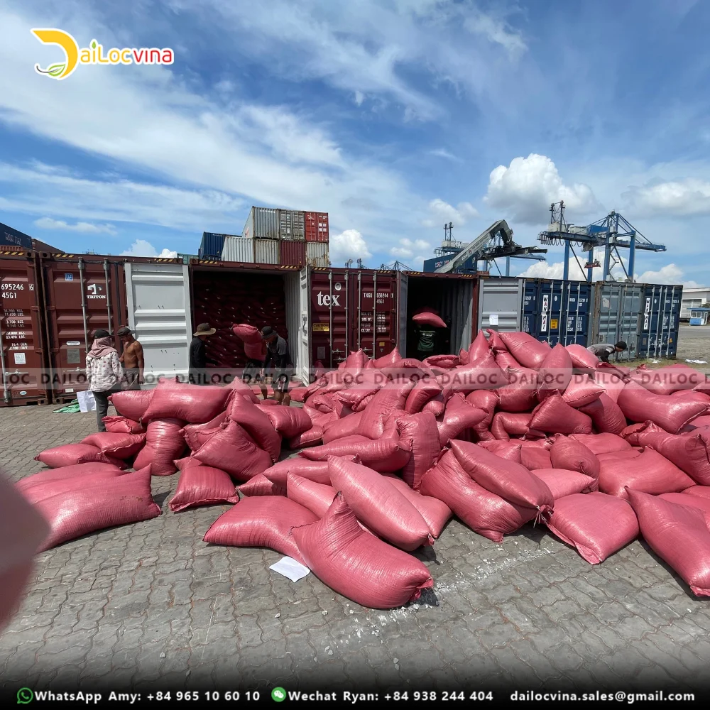 COCO PEAT COCO PITH COIR PITH COCOPEAT WHOLESALE GROW BAGS for GREEN ...