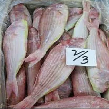 Frozen Threadfin Bream Fish Frozen Red Sea Bream Fish - Buy Frozen ...