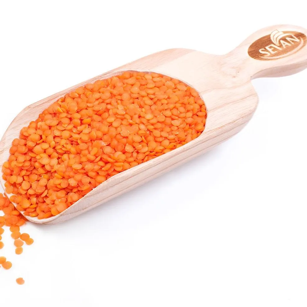 Premium Quality Best Price Export Green Red Lentils Masoor Dal - Buy ...