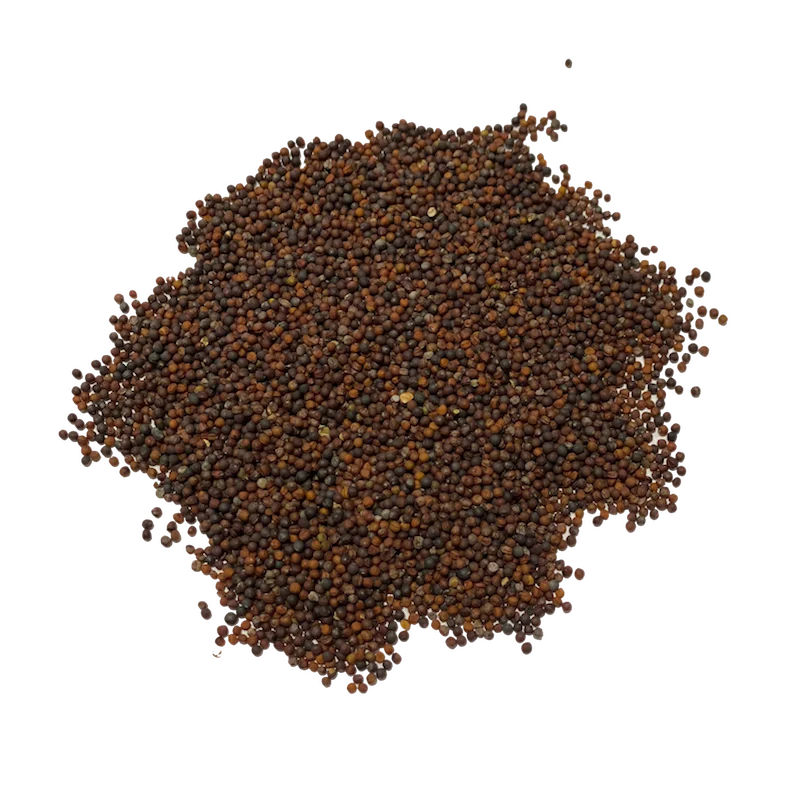 Top Wholesale Supply Hulled Rape Seed For Sale - Buy Natural Raw Rape ...
