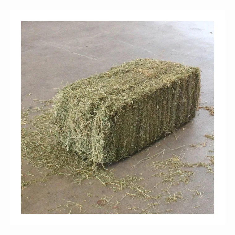 Quality Alfalfa hay Bays / Dehydrated Alfalfa Cubes Timothy hay Alfafa ...