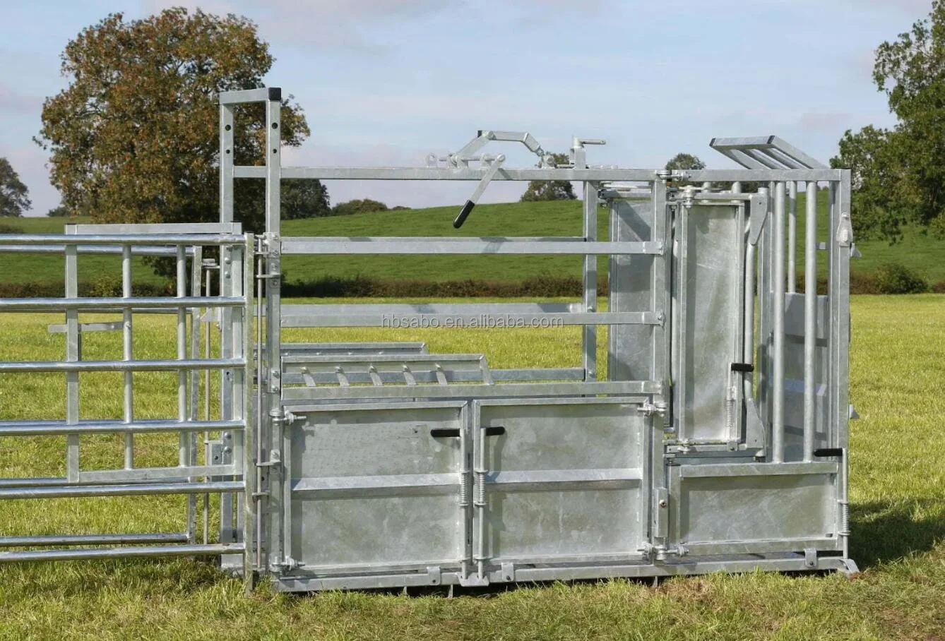 Galvanized Cattle Panel Squeeze Crush Cattle Handling Equipment - Buy ...