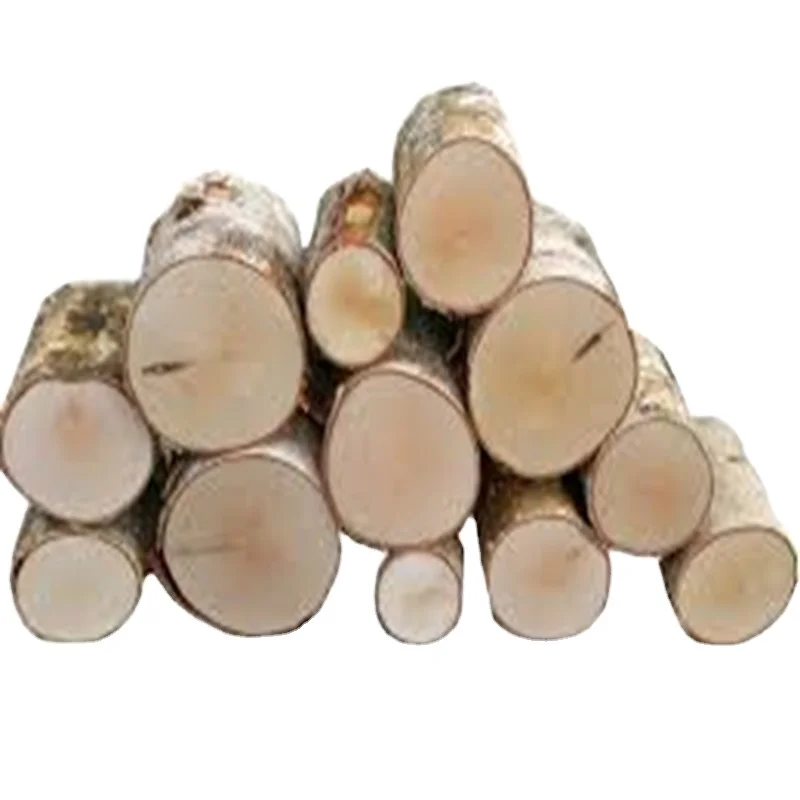 Vaneer Eucalyptus Wood White Oak Logs Timber Hardwood Pattern Furniture ...