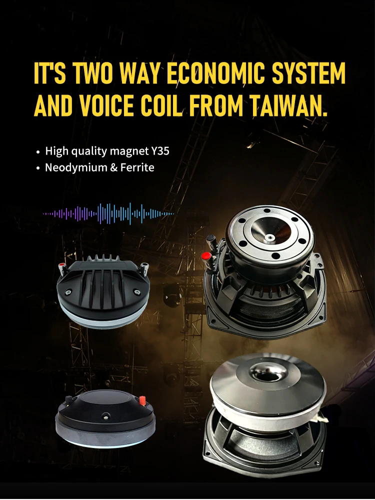 Professional 2-Way Dual 10 Inch Neodymium Indoor Outdoor Audio System ...