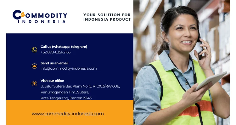 Indonesia Wholesale Nina Softex Tampons Sanitary Menstrual Pads Napkin ...
