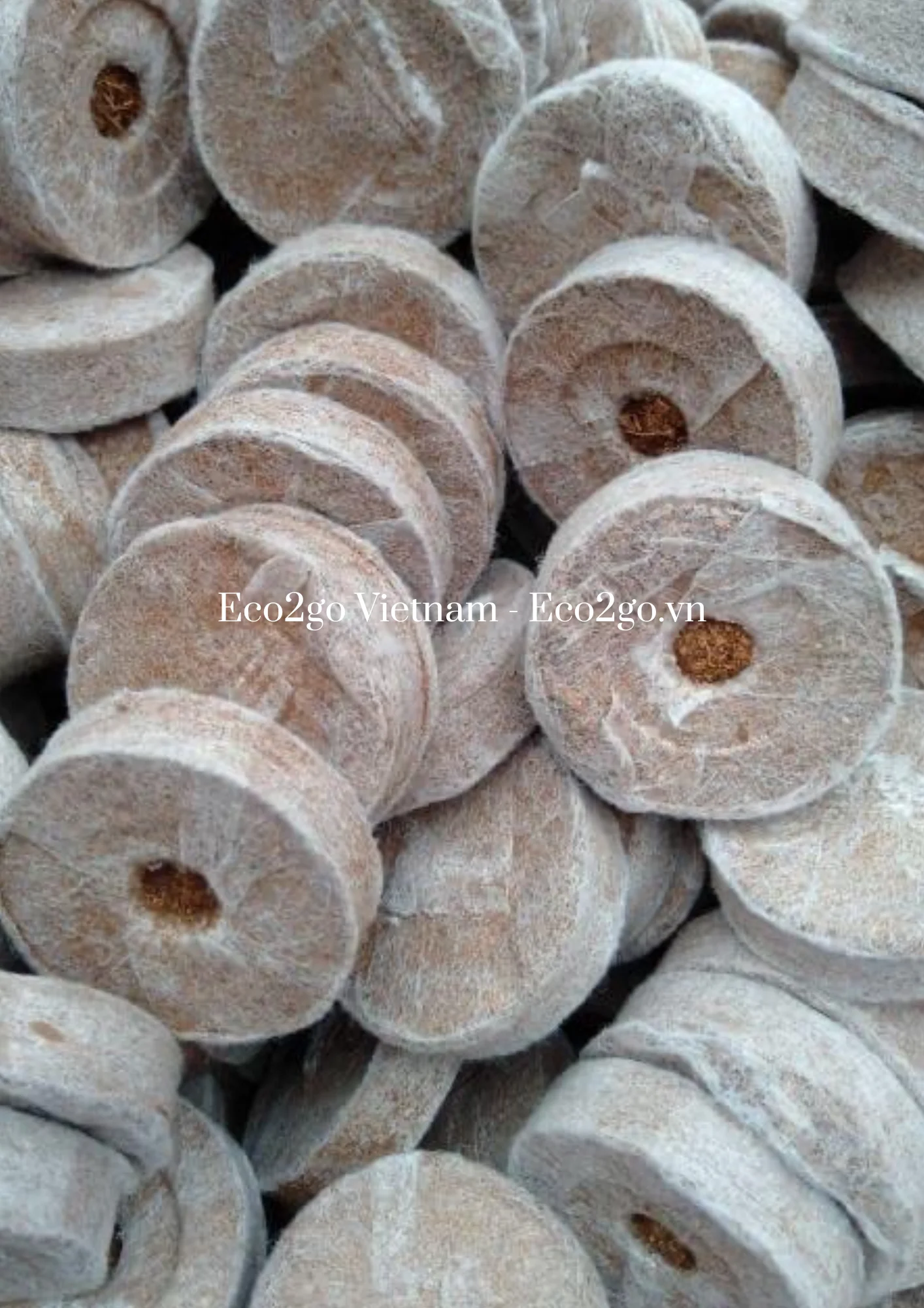 Organic Coco Peat Moss Pellets for Plant Growth & Potting