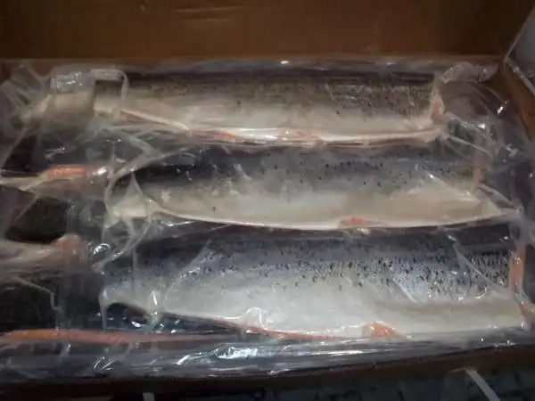 Frozen Salmon Fish Fillets | Whole Salmon Fish Bulk - Buy Frozen Salmon ...
