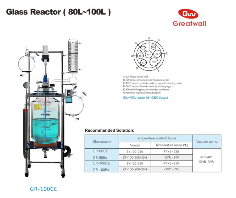 100L Glass Reactor - Efficient Bioreactor for Lab & Industry
