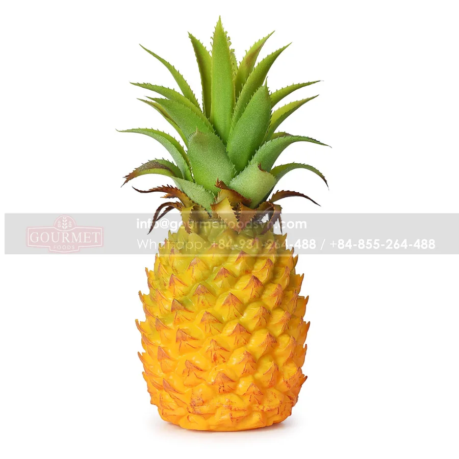 Fresh Tropical Queen Pineapple Made in Vietnam 100% Natural High Cheap ...