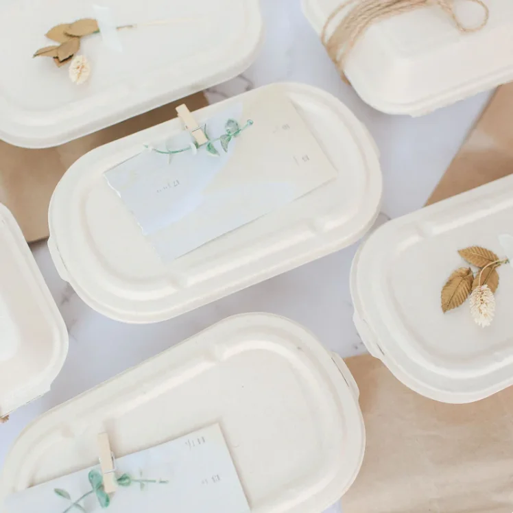 Wholesale Sugarcane Bagasse Pulp Meal Prep Containers Disposable 3 ...