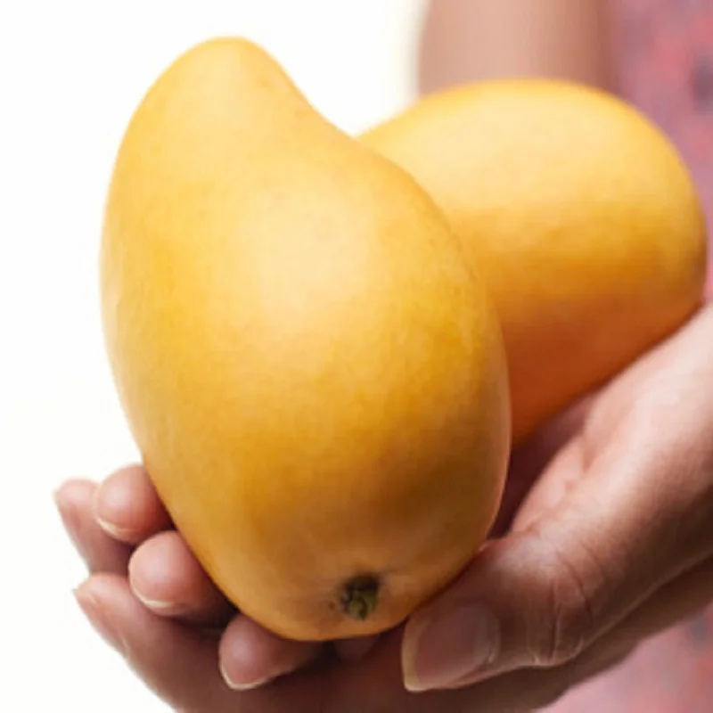 Fresh Mango Fruit - Buy Fresh Mango Fruit Mango Fresh Mangos Frozen ...