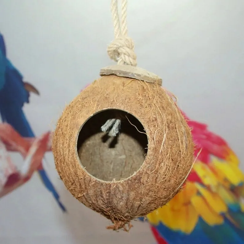 Multifunctional Coconut Shell in Window Wild Bird Feeder Coco Shells ...