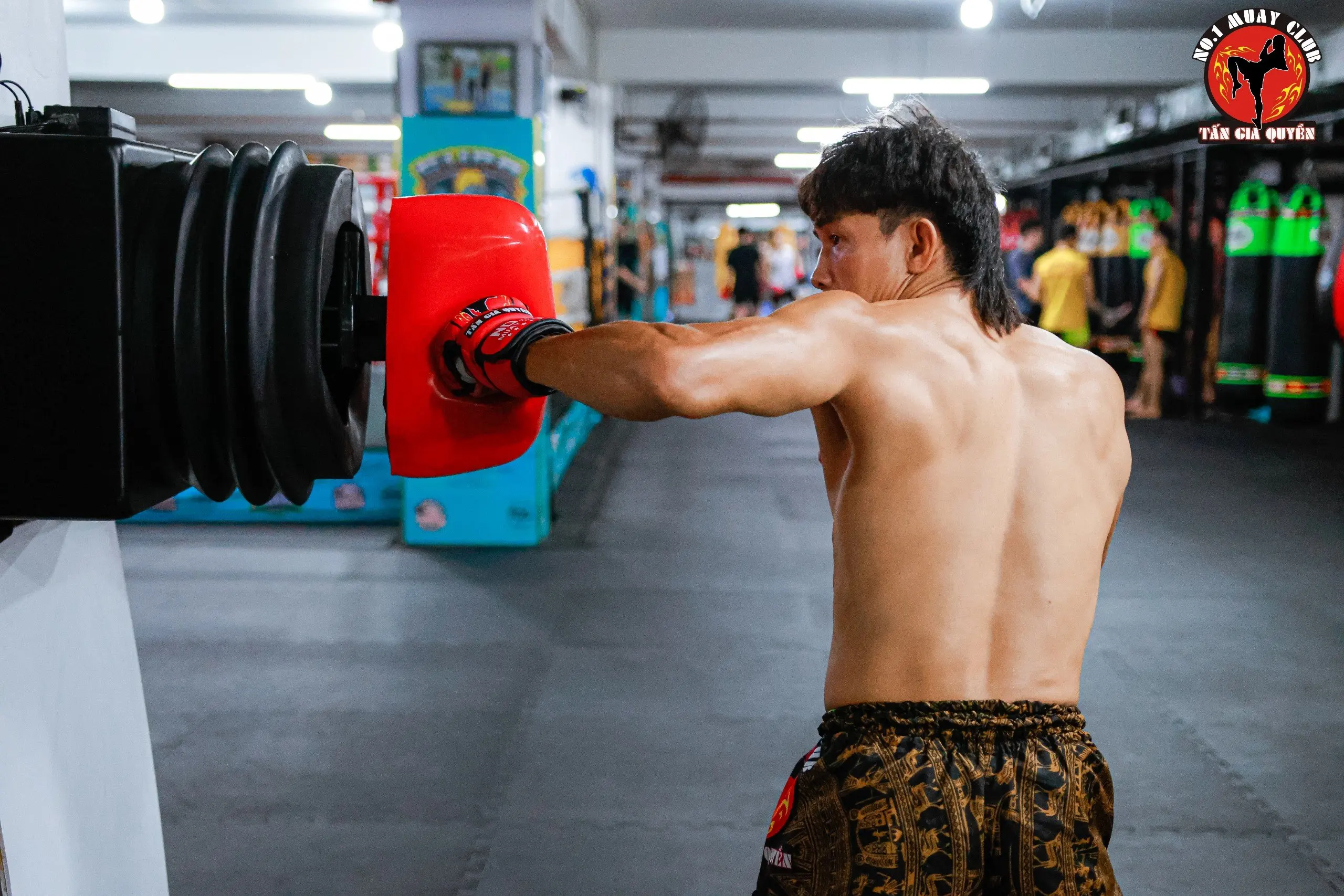 Champio Tri Luc Master Advanced Metrics,Next-level Training: Smart ...