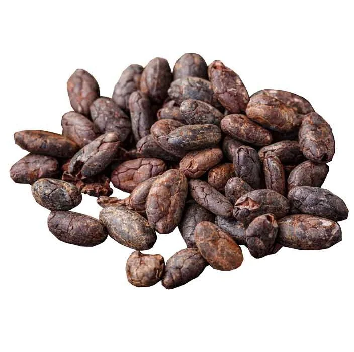 Cheap Price Supplier From Germany Cocoa Beans Ariba Cacao Beans Dried ...