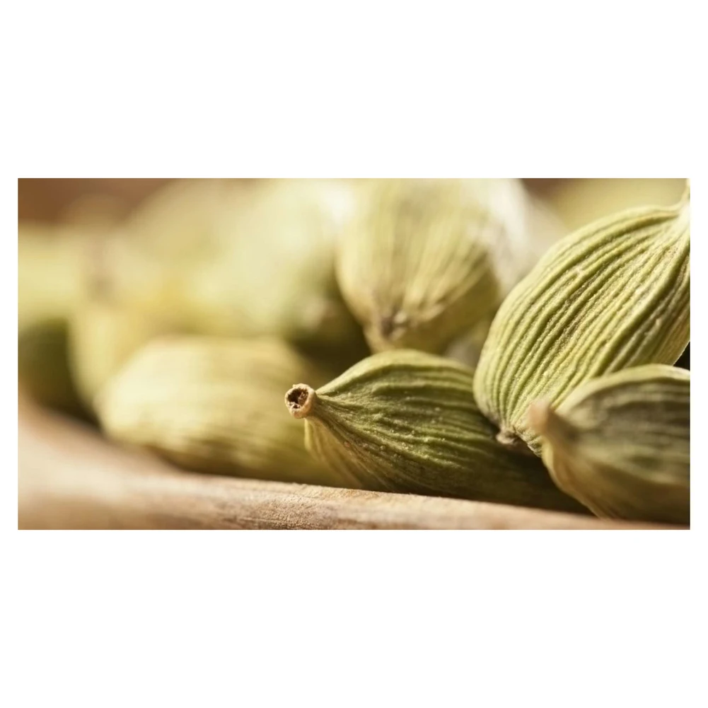 Fresh Quality Green Cardamom Premium Whole Large Green Cardamom - Buy ...