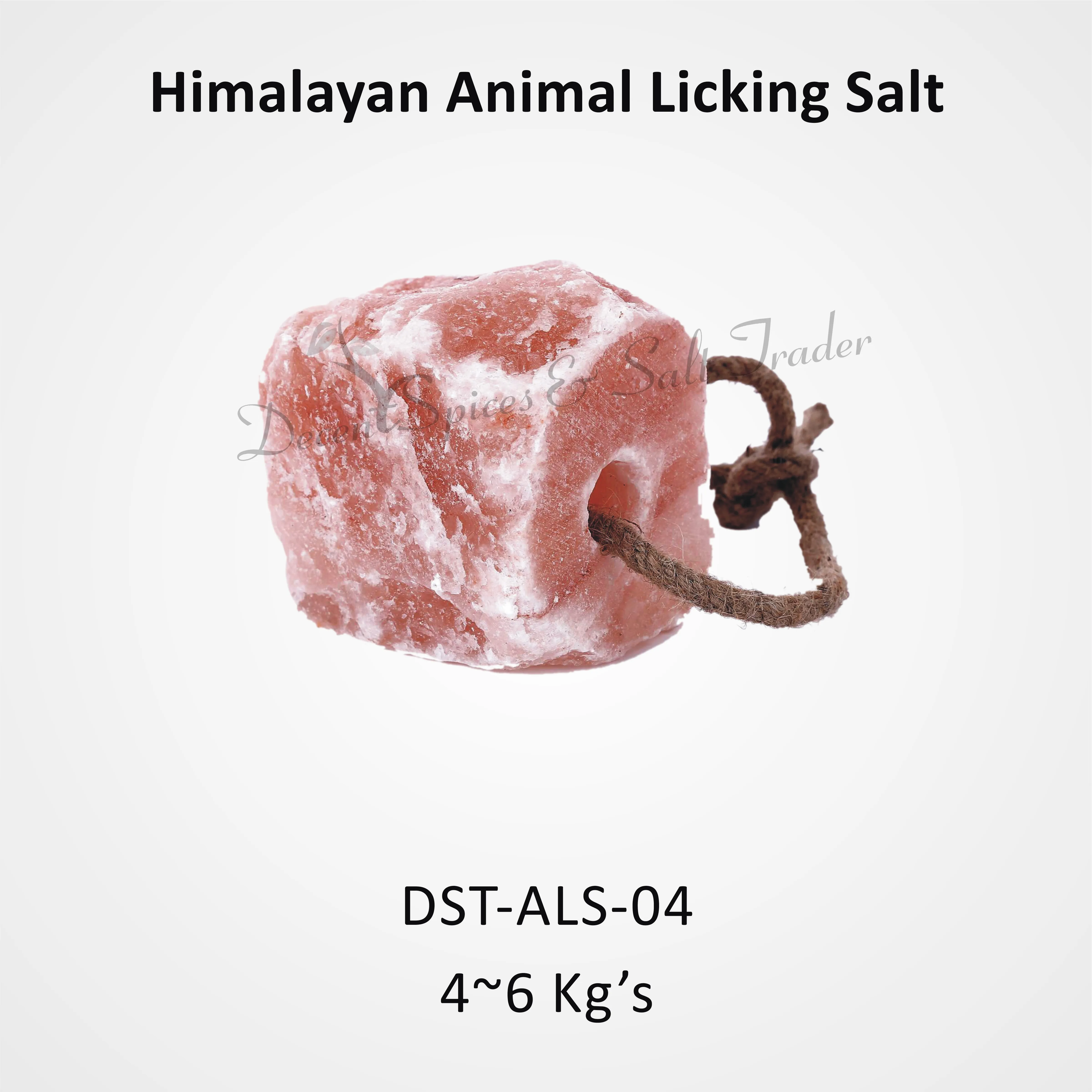 Pakistan Horse Cattle Roped Salt Blocks Lick Himalayan Animal Nutrition ...