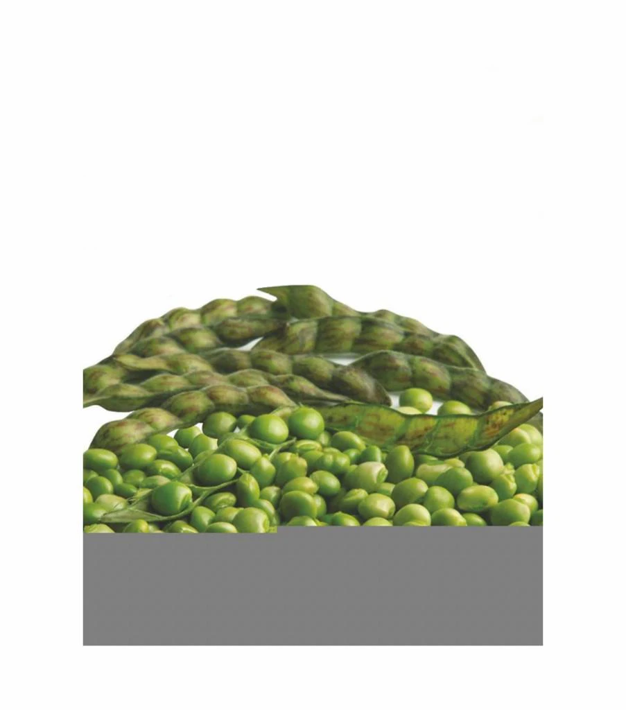 Top Quality Dried Whole Pigeon Peas Wholesale Hot Selling Best Price ...