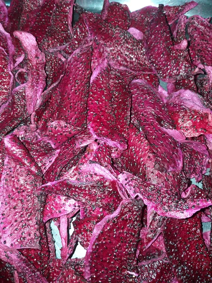 Dried Red Dragon Fruit - Premium Quality from Vietnam