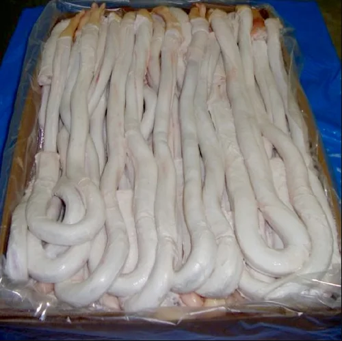 Frozen Fresh Beef Pizzle (penis) High Quality Product - Buy High ...