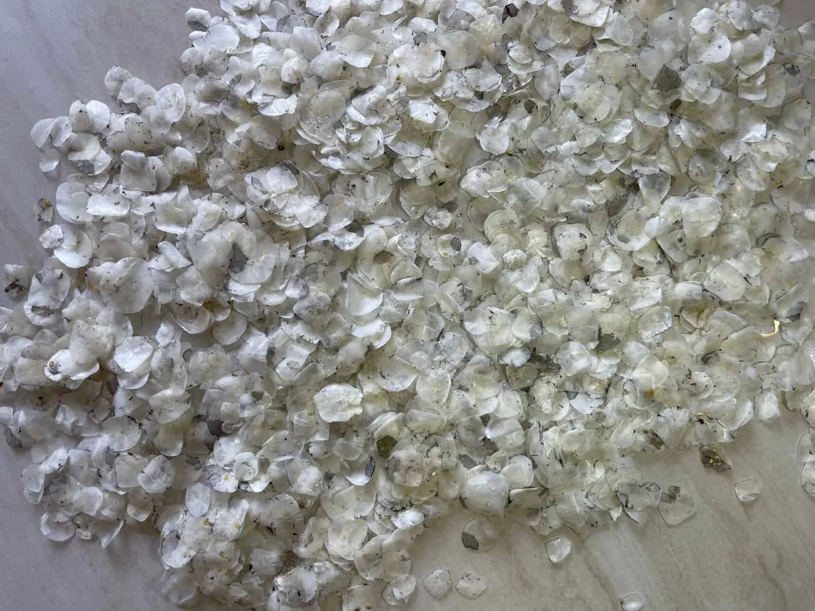 Raw Material Fish Scale Tilapia Cleaned By Chemical For Collagen ...