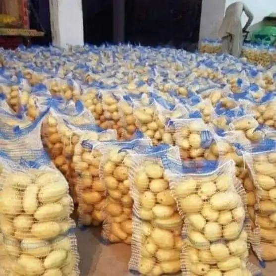 Wholesale Fresh Potatoes - Premium Quality & Custom Packing