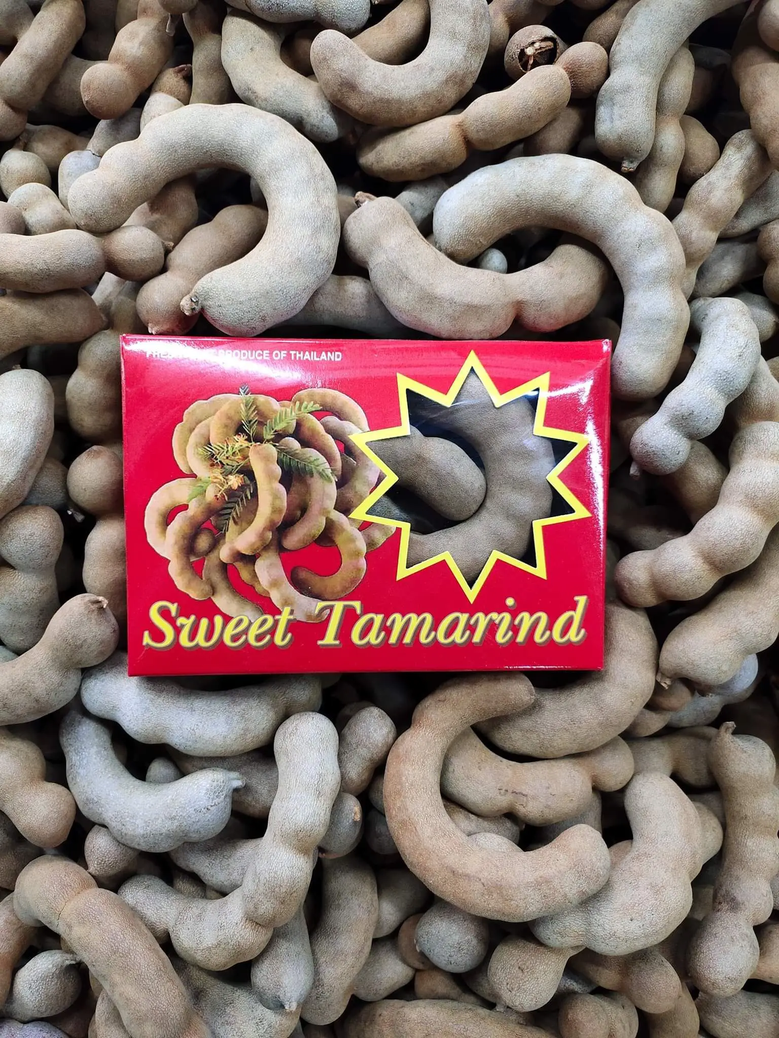 Premium Grade Sweet Tamarind From Thailand. Sweet Natural Direct From ...