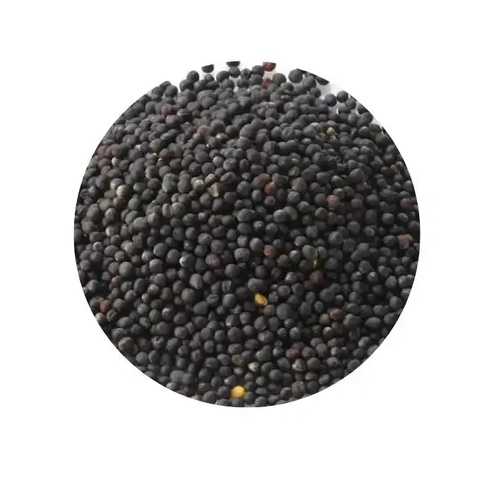 Chia Seed - Salvia Hispanica Seed Nanda Baguli Landa Baguli Sabja Seeds ...