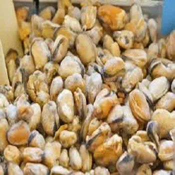 Seafood Shellfish Frozen Half Shell Mussel - Buy Frozen Shellfish ...