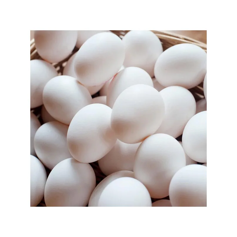 Farm Fresh Chicken Table Eggs Brown And White Shell Chicken Eggs In ...