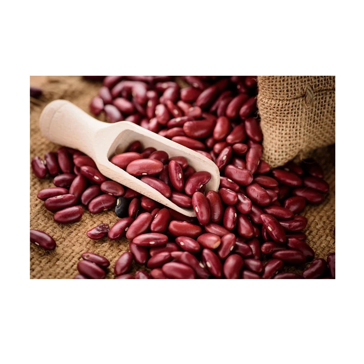 Red Kidney Bean Red Kidney Beans Wholesale Dried Dark Red Kidney Bean ...