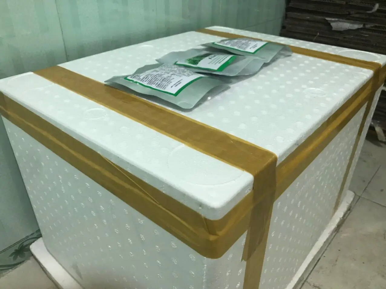 High Quality Gracilaria Seaweed Gracilaria Chilensis Producing Agar ...