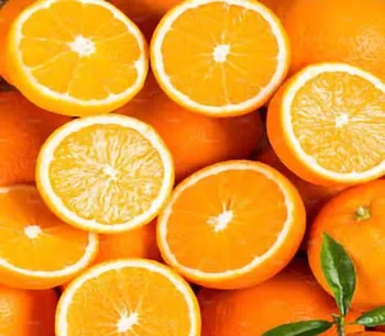Fresh Valencia Orange From Egypt Top Selling Sweet Premium Citrus Fruit ...