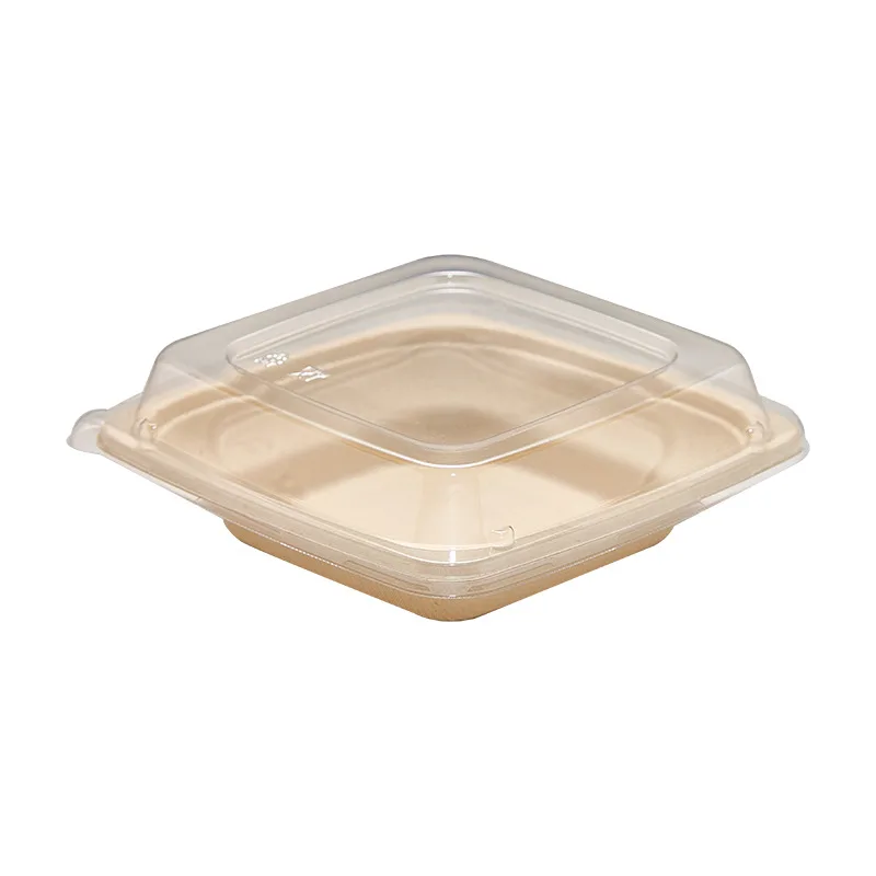 Fiber Food Container 16 Oz Disposable Boxes Pulp Eco Friendly Packaging ...