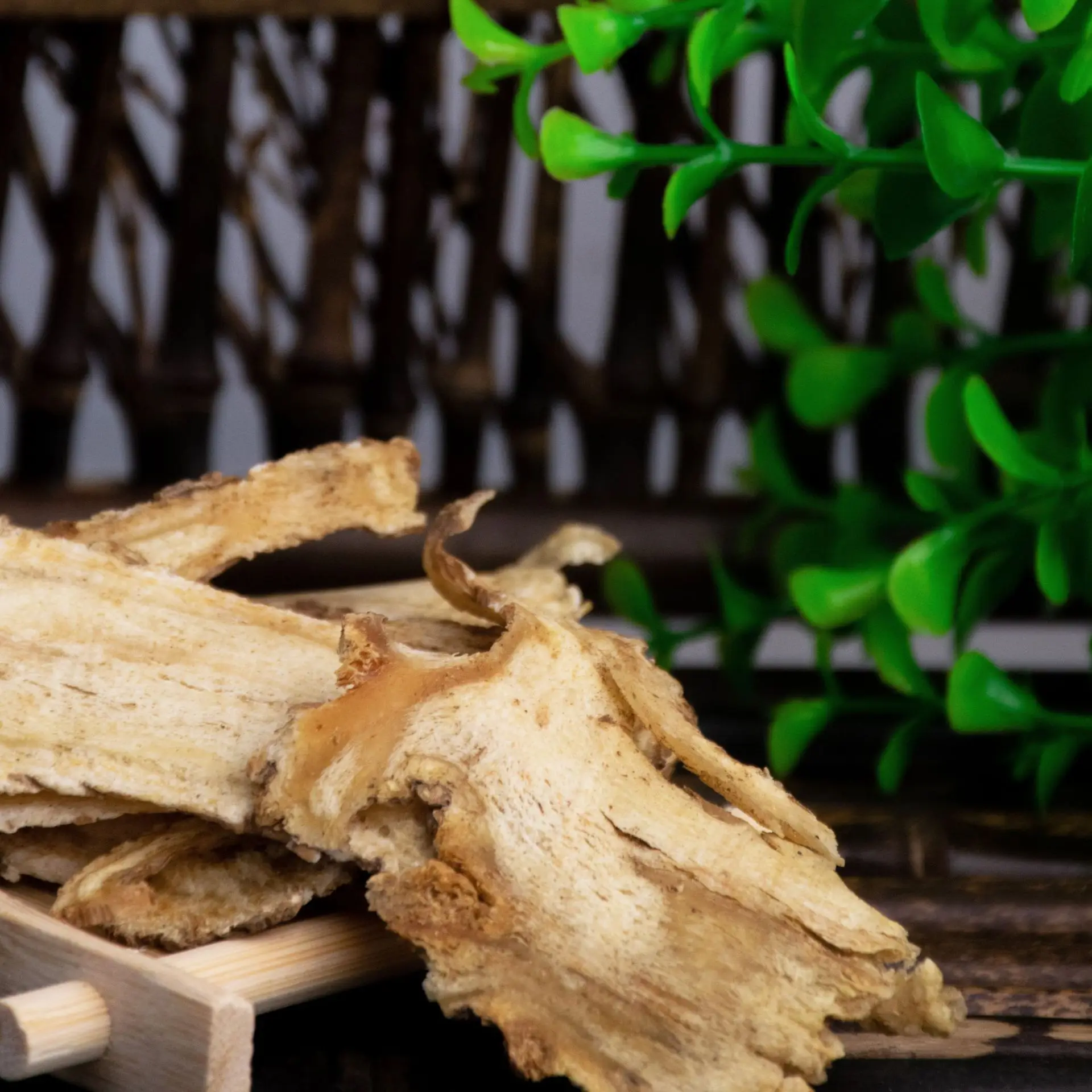 Baixianghui 2024 Wholesale China Traditional Angelica Sinensis The Best ...