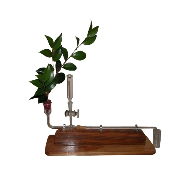 Potometer Ganongs With A Graduated Capillary Tube Bent Down At Right ...